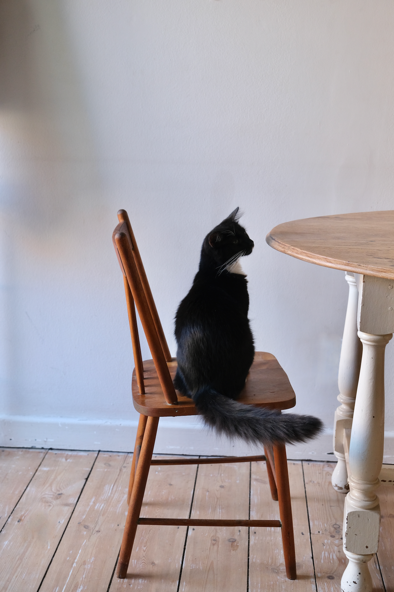 4 wooden cottage chairs – Maison Cape Town